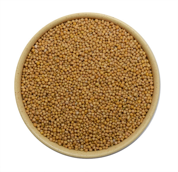 Mostaza Amarilla Entera – Mr Sabor